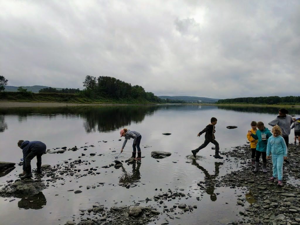 Natural Making - Brilliant Labs